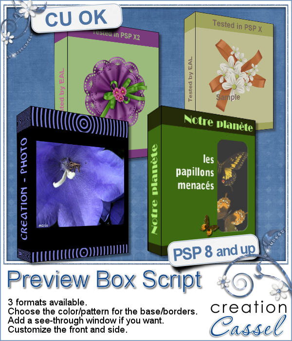 new script – preview box | Creation Cassel