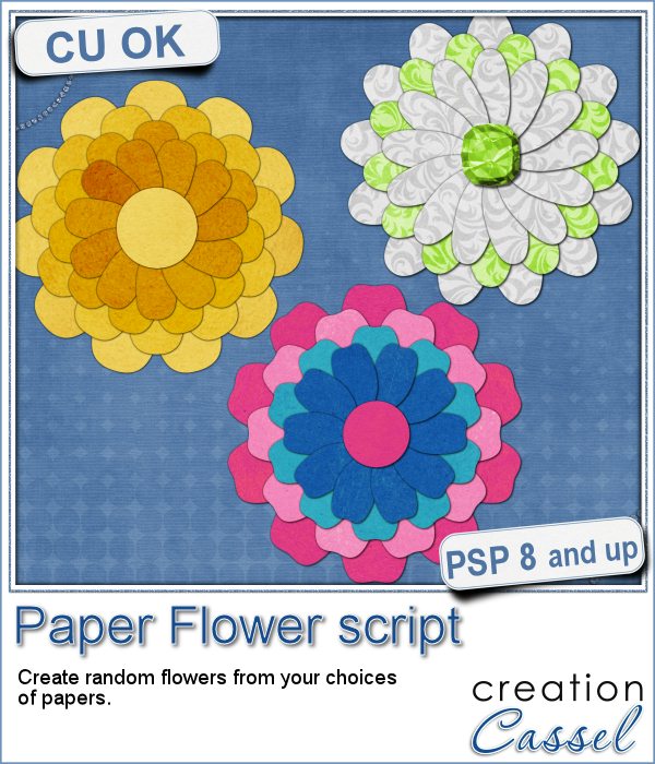 New script – Paper Flower | Creation Cassel