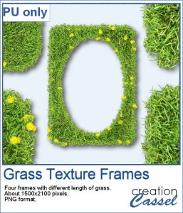 New script – Grass texture | Creation Cassel