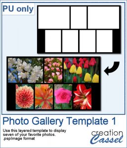 New script – Photo Gallery | Creation Cassel