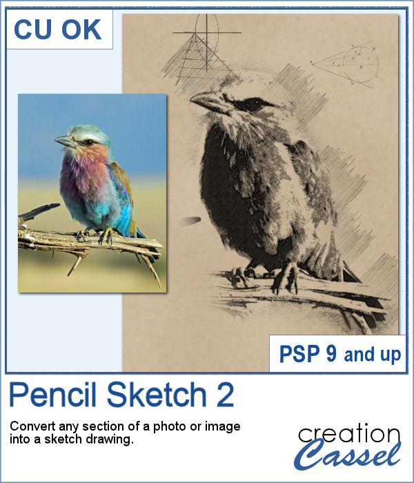 New script – Pencil Sketch 2 | Creation Cassel