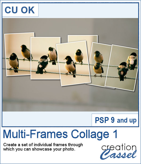 New script – Multi-Frames Collage 1 | Creation Cassel