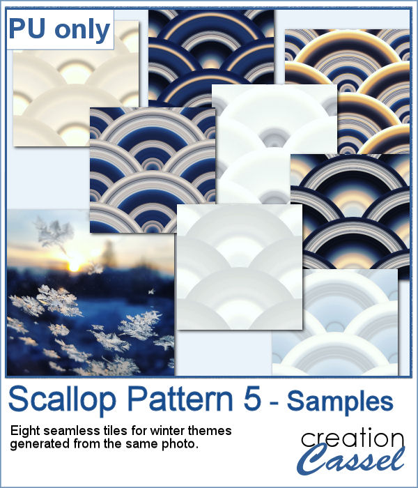 New script – Scallop Pattern 5 | Creation Cassel
