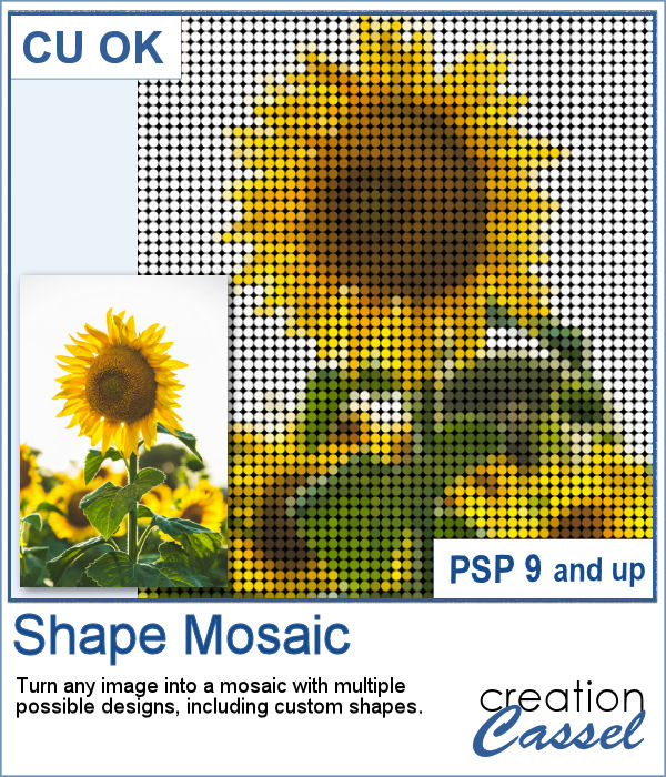 Shape Mosaic Script for PaintShop Pro